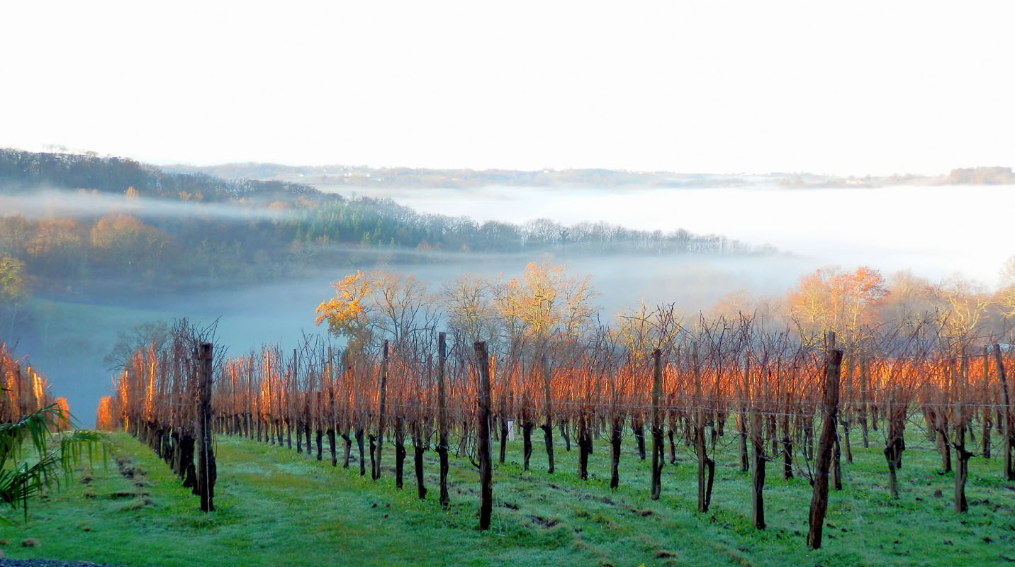 Vignoble du Jurançon et vue sur les Pyrénées