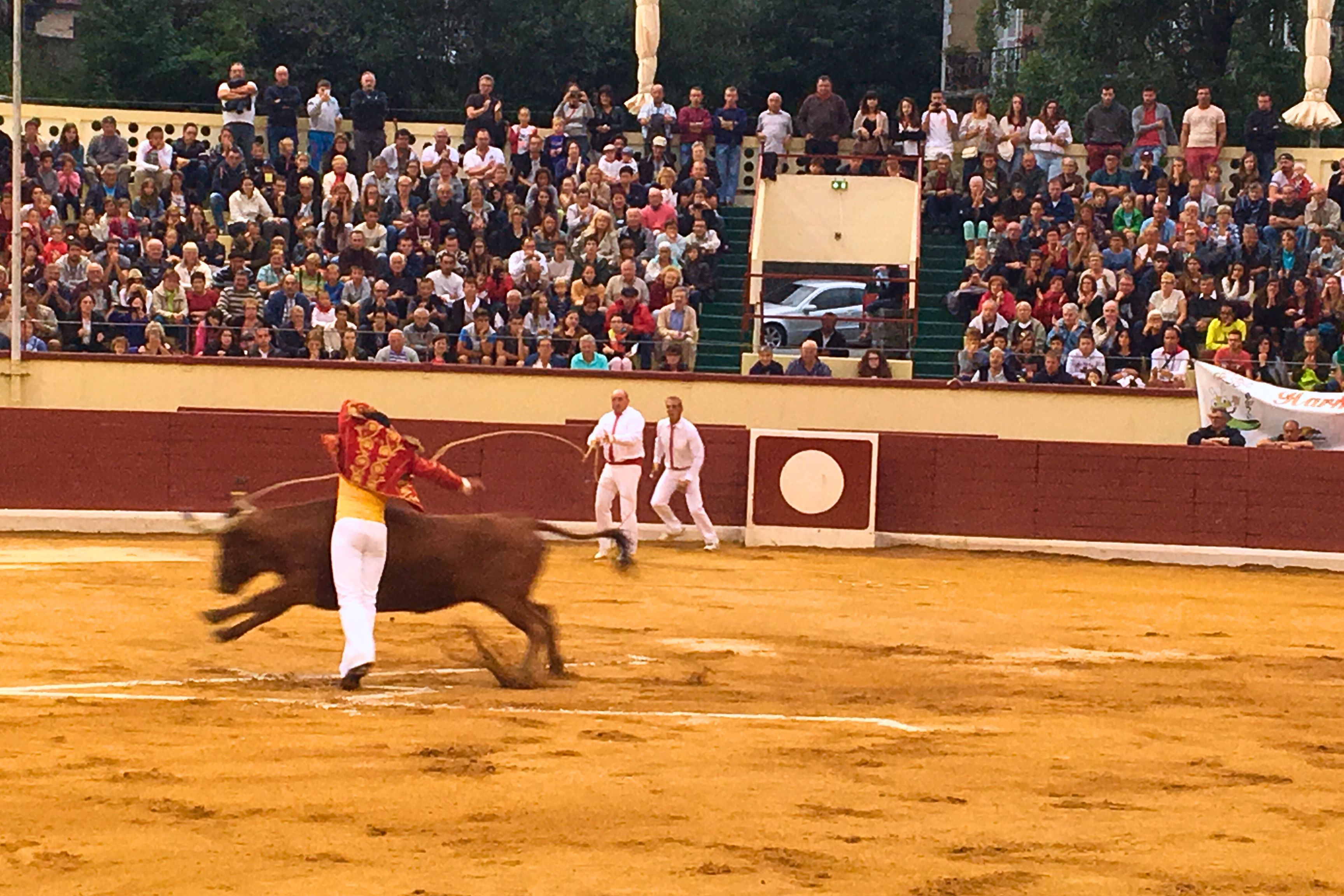 Course Landaise Festival Orthez 2024