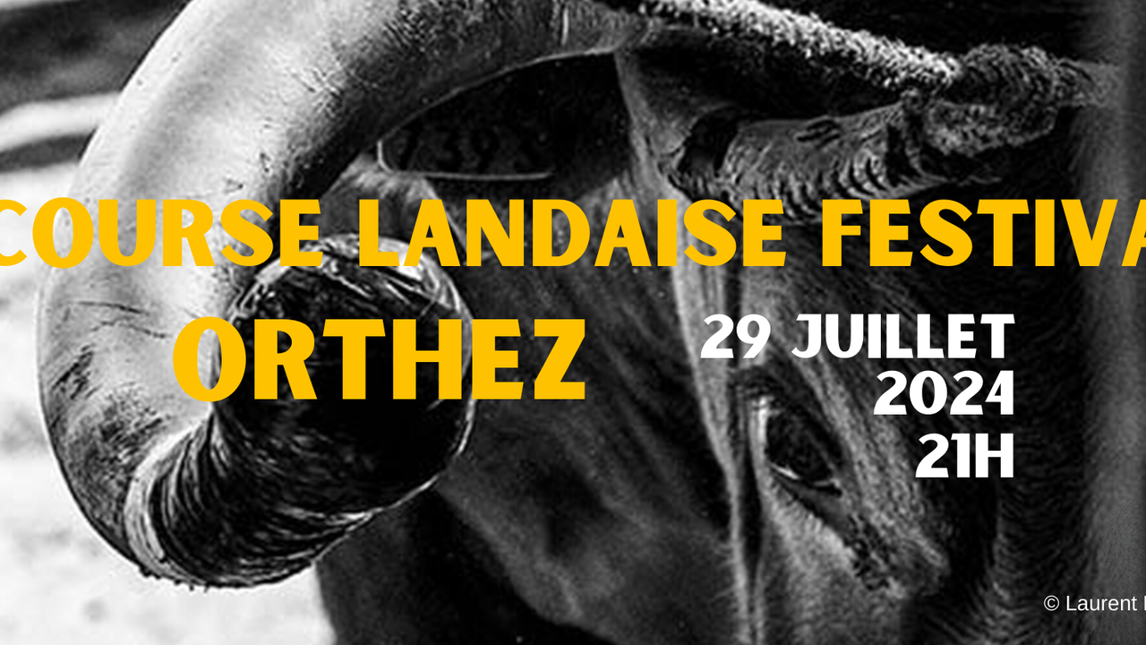 Course Landaise Festival Orthez 2024