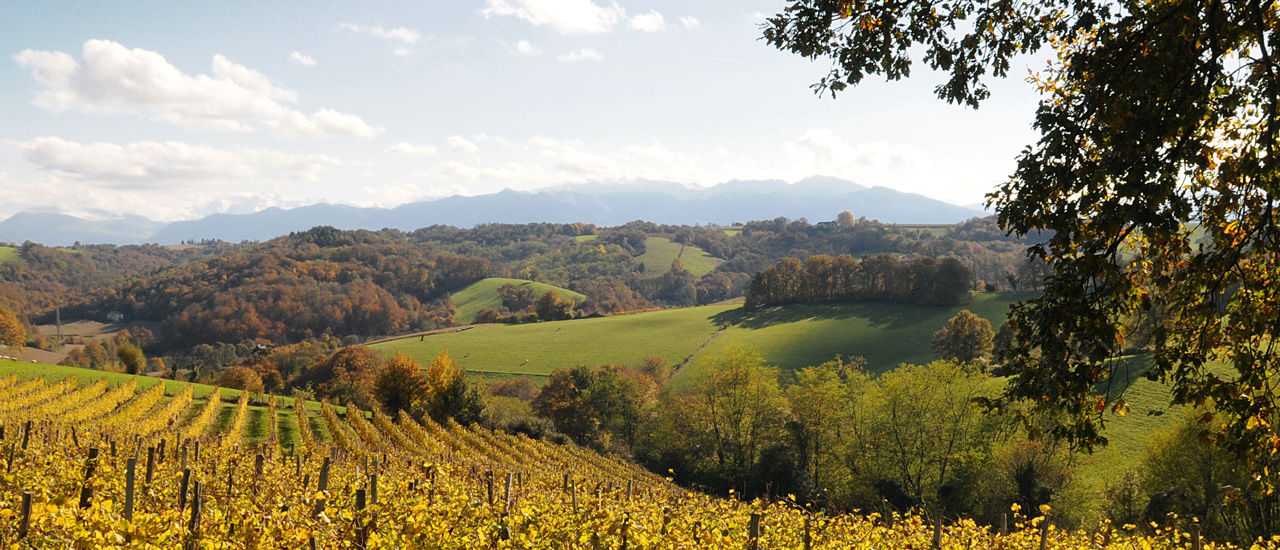 Cœur de Béarn in autumn - Coeur de Béarn